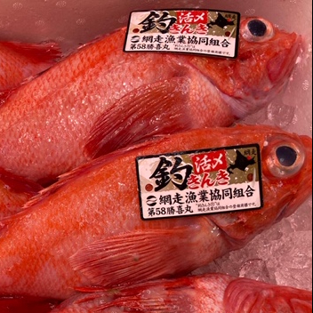 IDIOT FISH | ITEM | 関西・食・輸出推進事業協同組合